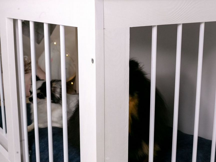 Вольеры для собаки