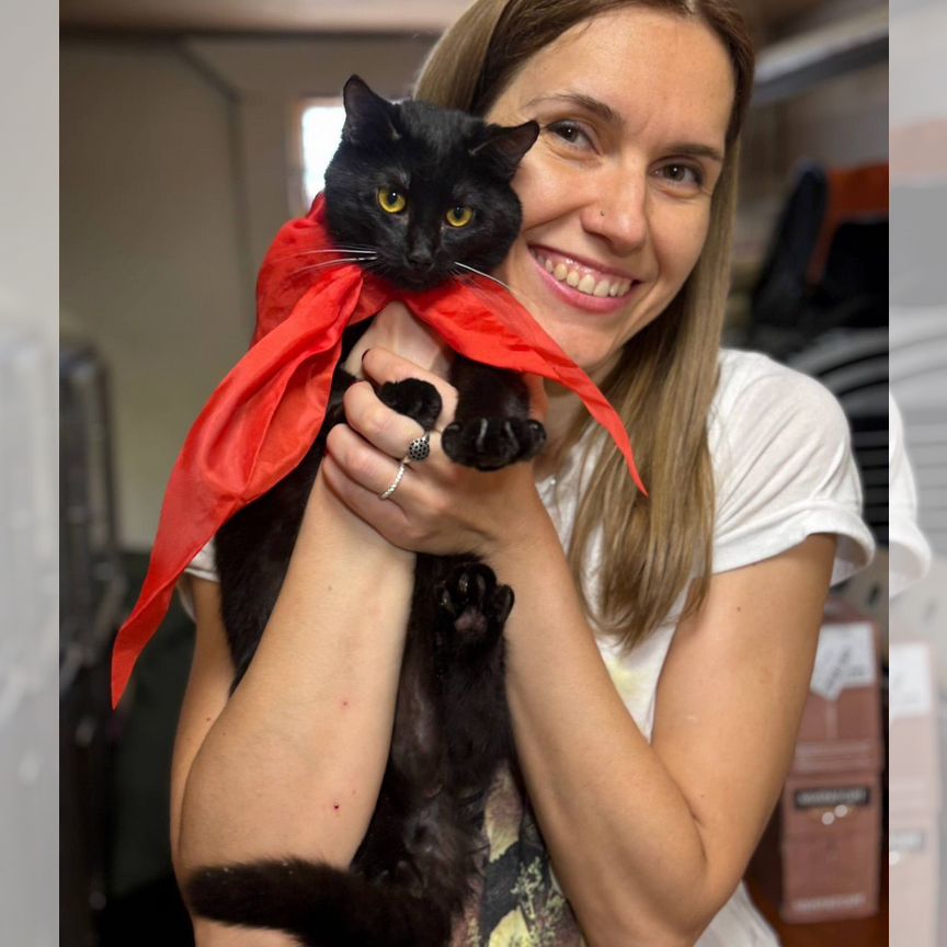 Взрослая, кошка в добрые руки