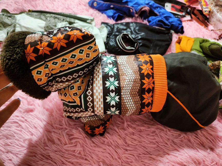 Вещи для маленьких собак