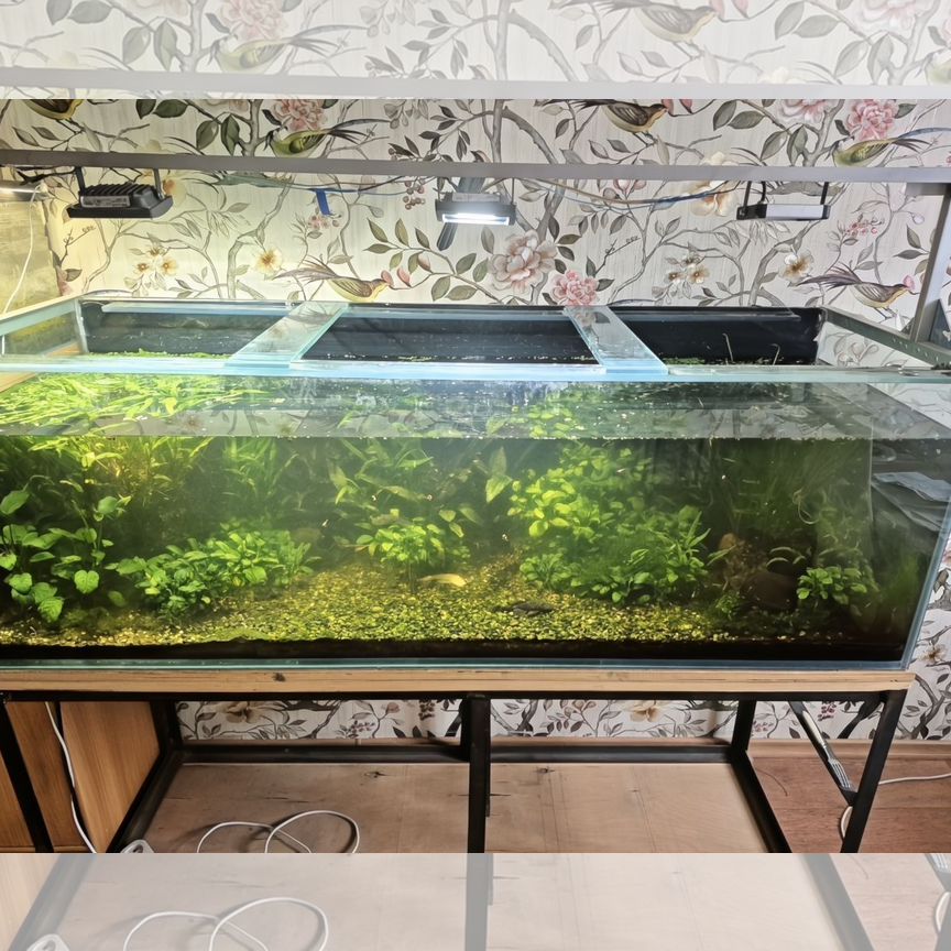 Аквариум с рыбками