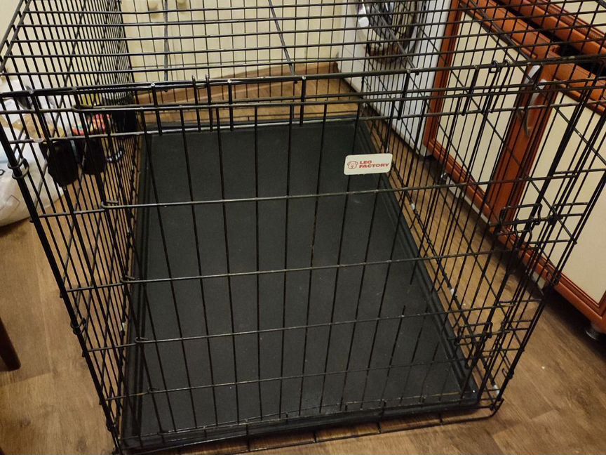 Клетка вольер для собак бу аренда