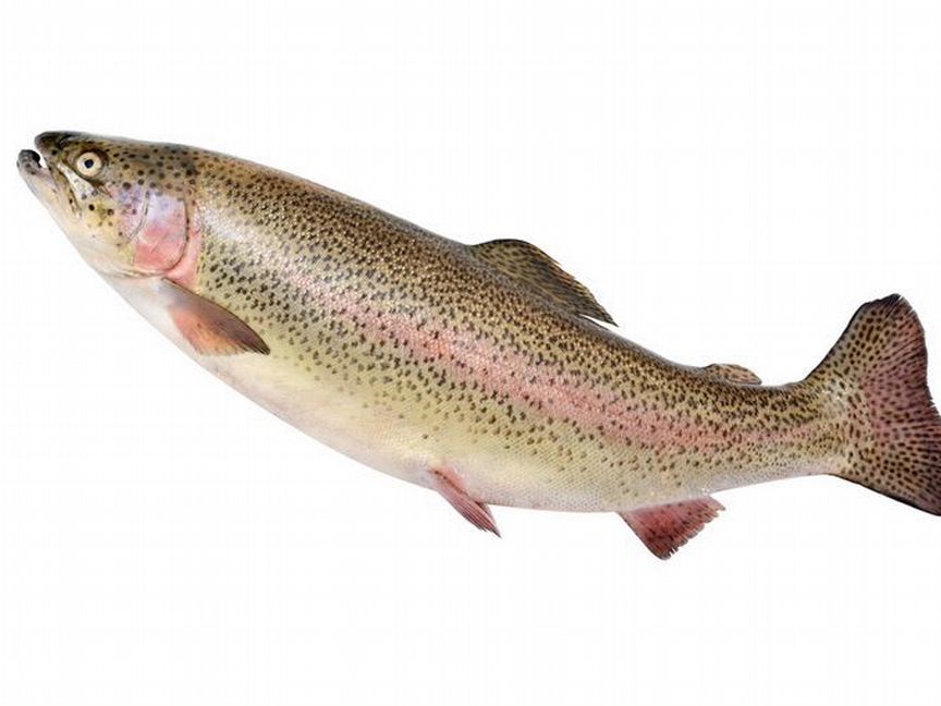 Суповой набор(форель)