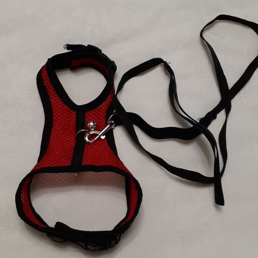 Шлейка для хорька