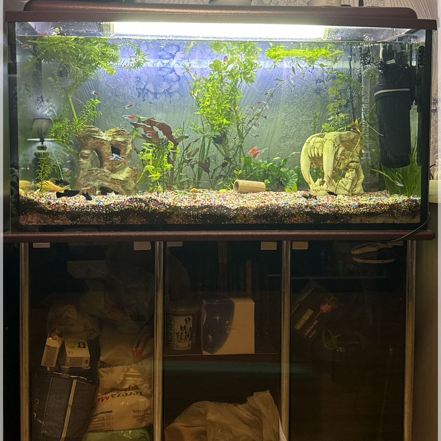 Аквариум 200литров продажа/обмен