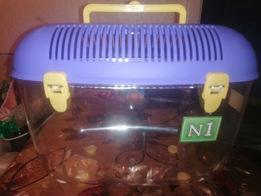 Терариум для животных