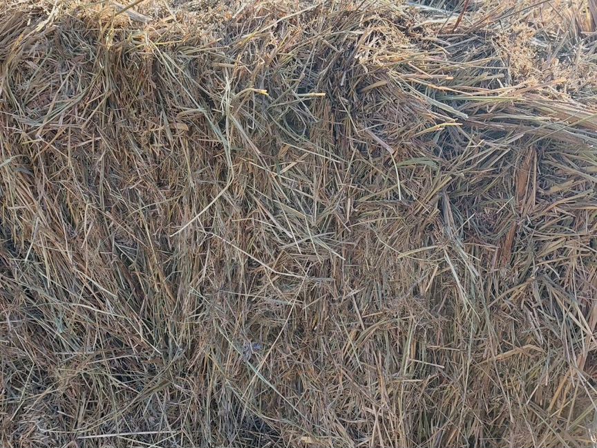 Сено в кипах