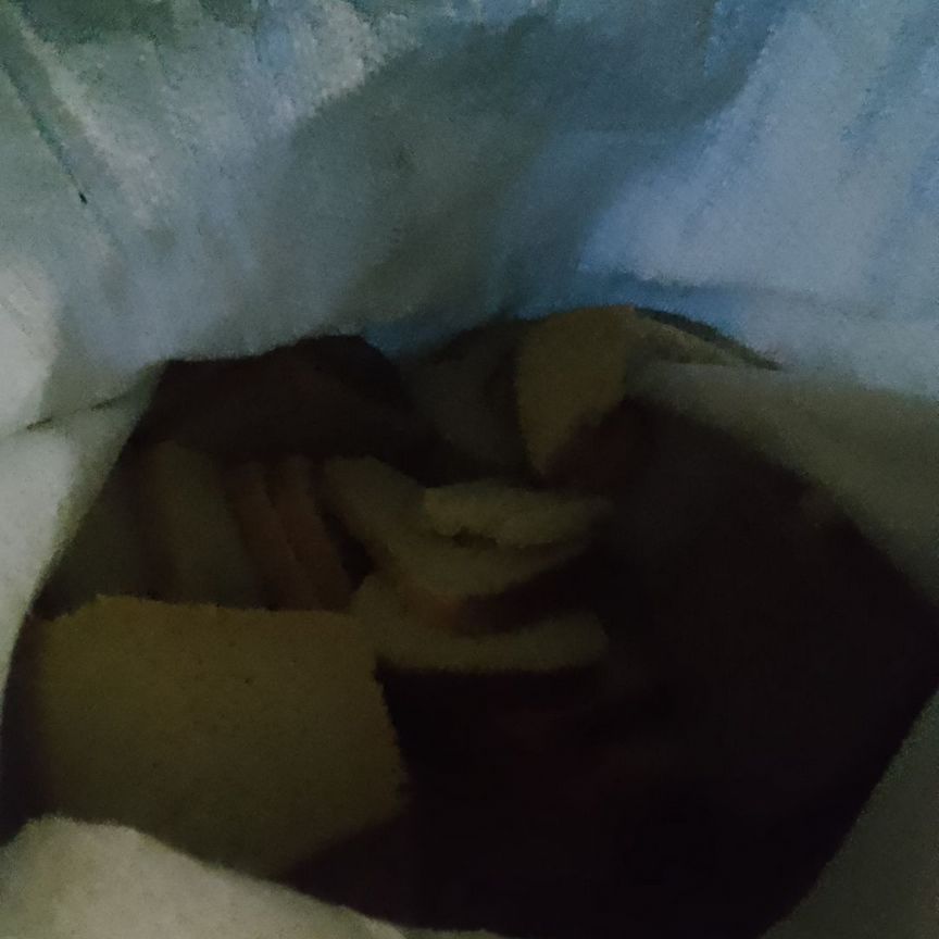 Хлеб на корм скоту