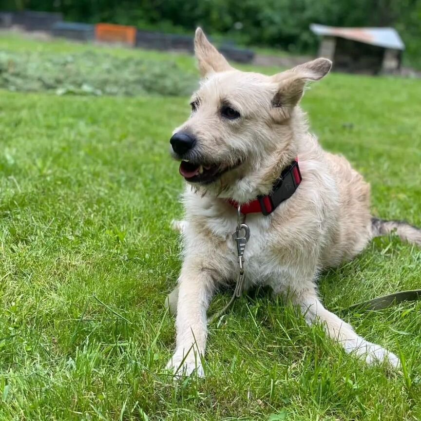 Девочка,2 года в добрые руки