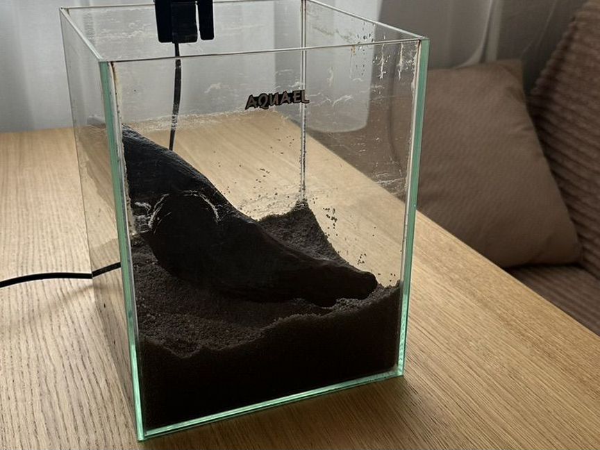 Aquael Shrimp Set 10