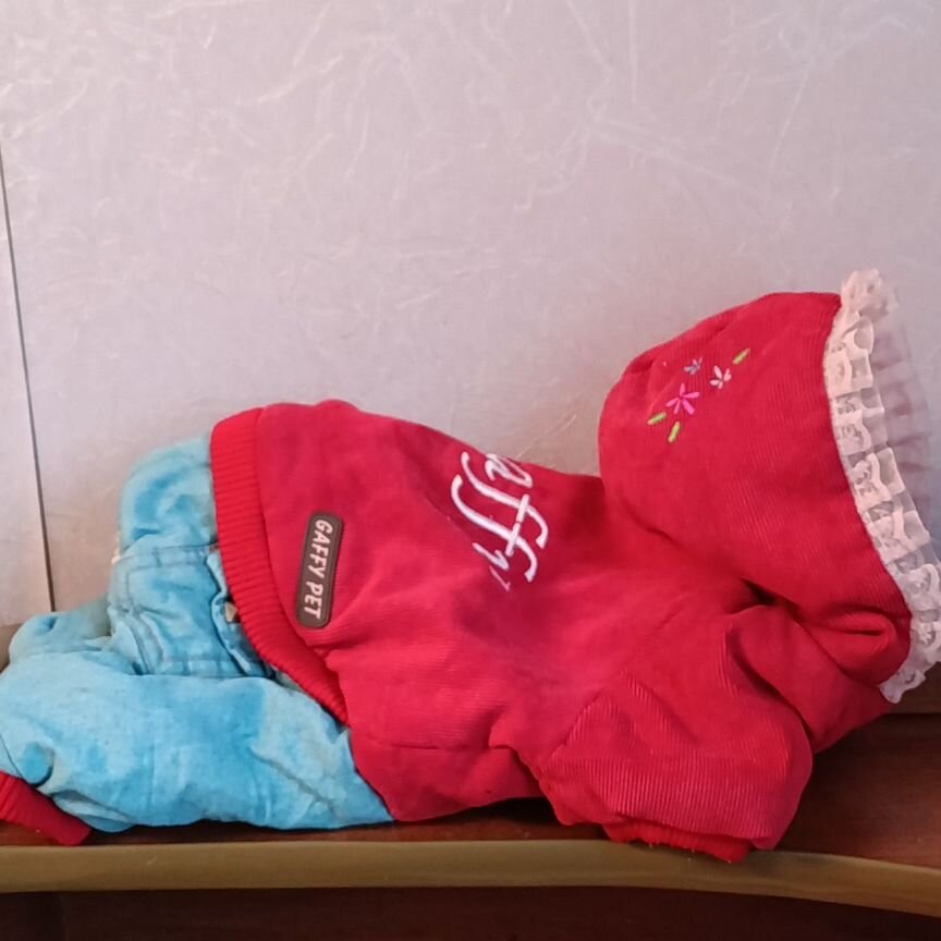 Одежда для собак мелких пород зима девочка