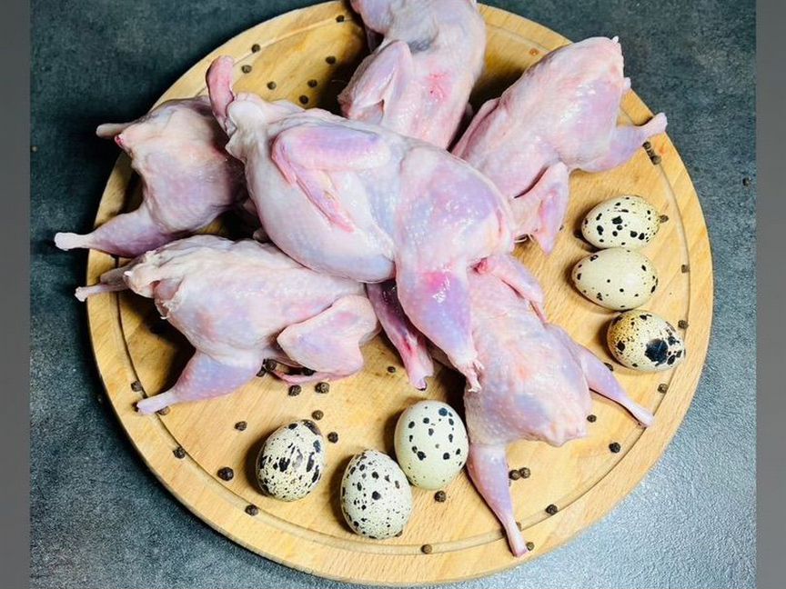 Клетка для перепелов