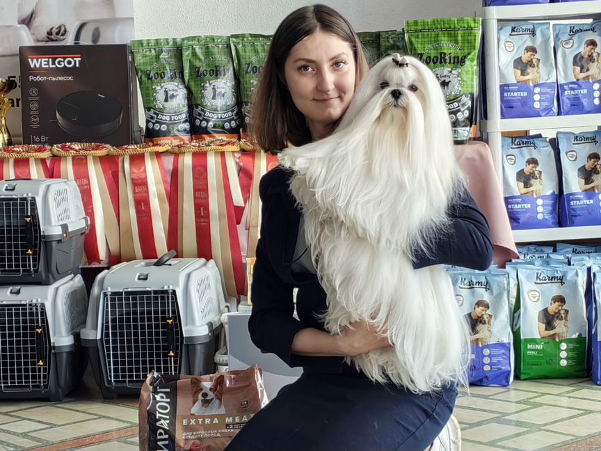 Мальтезе РКФ