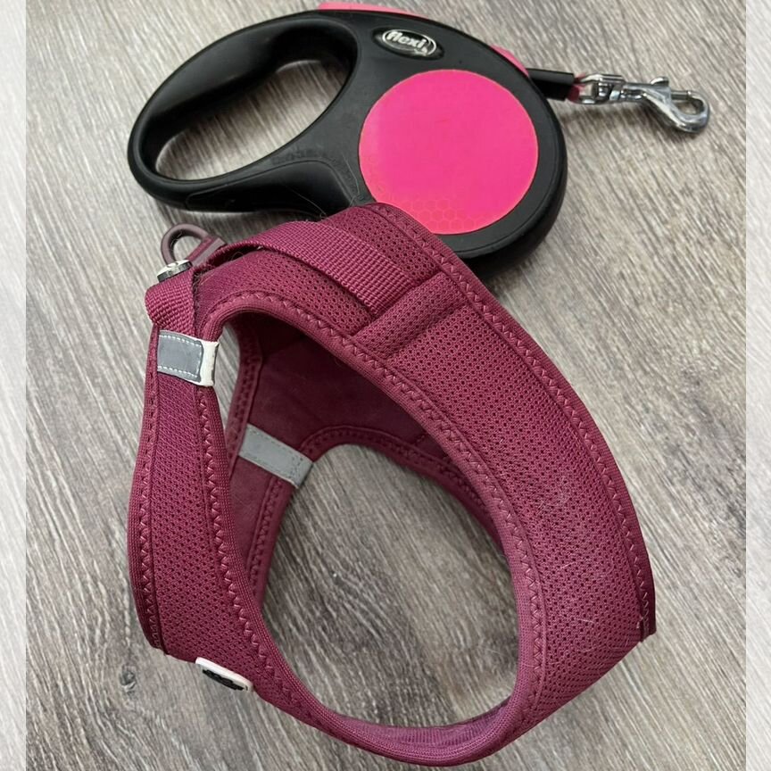 Шлейка и поводок