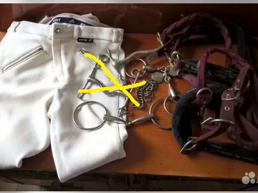 Амуниция для лошади.Конный спорт