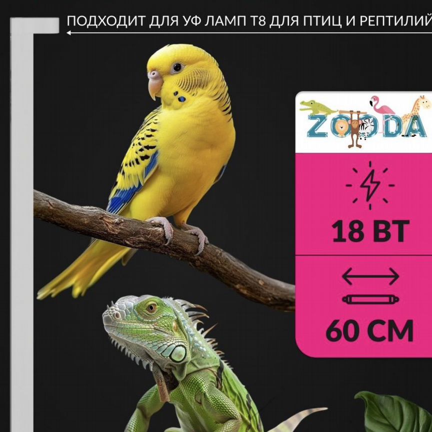 Светильник и лампа для птиц Zooda   Arcadia