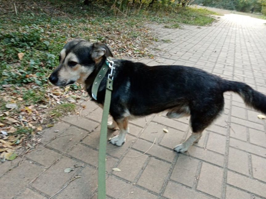 Добрый мальчик в хорошие руки