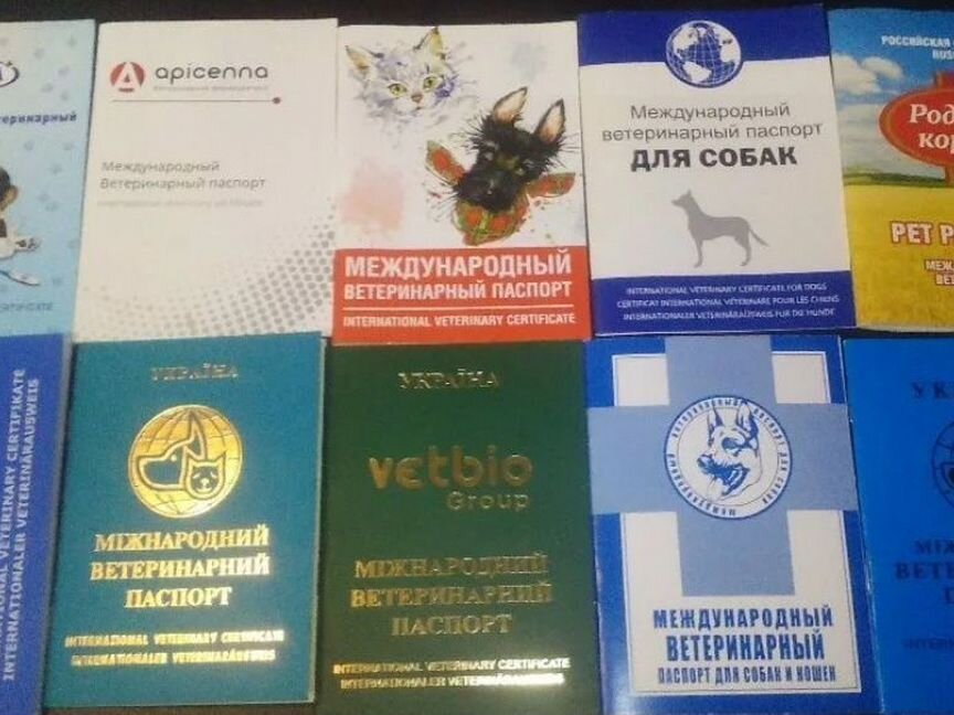 Ветеринарный паспорт