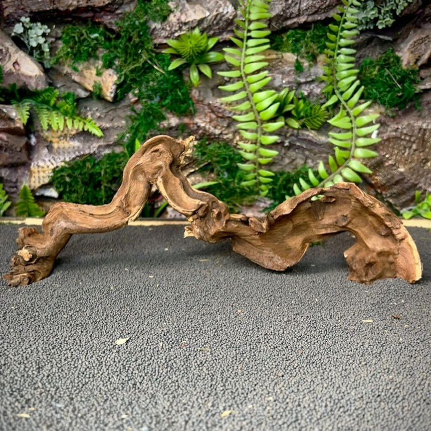 Коралловое дерево/Coral Wood кд1167