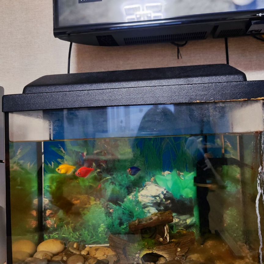 Аквариум20л