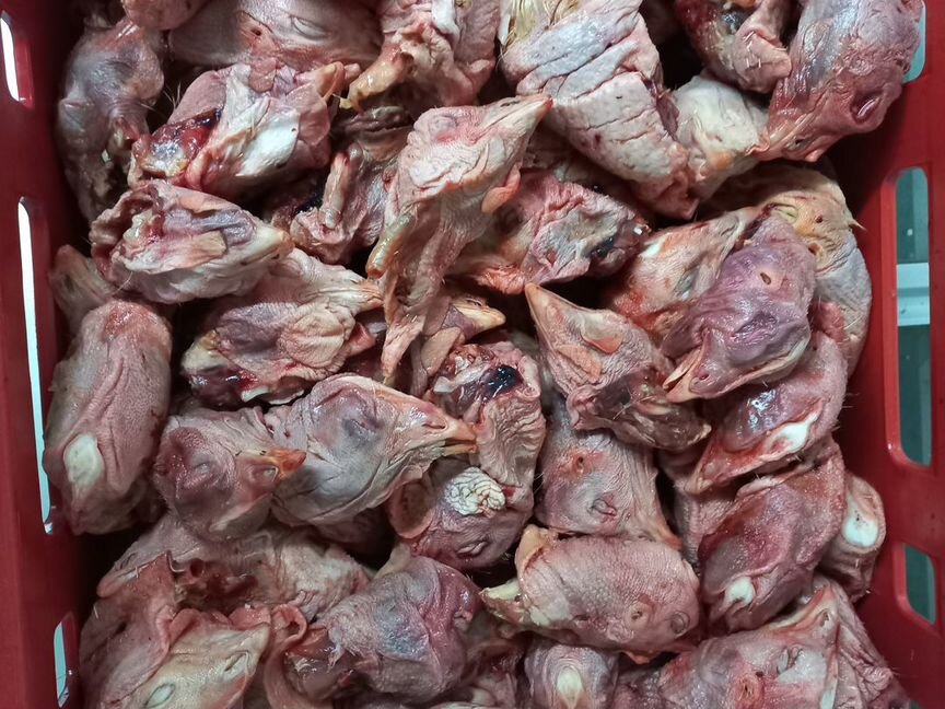 Куриные головы