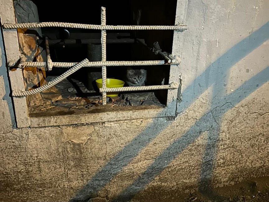 Пусть мама услышит Пусть мама придёт