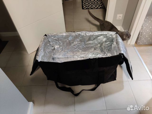 Термосумка большая купить в Москве | Хобби и отдых | Авито