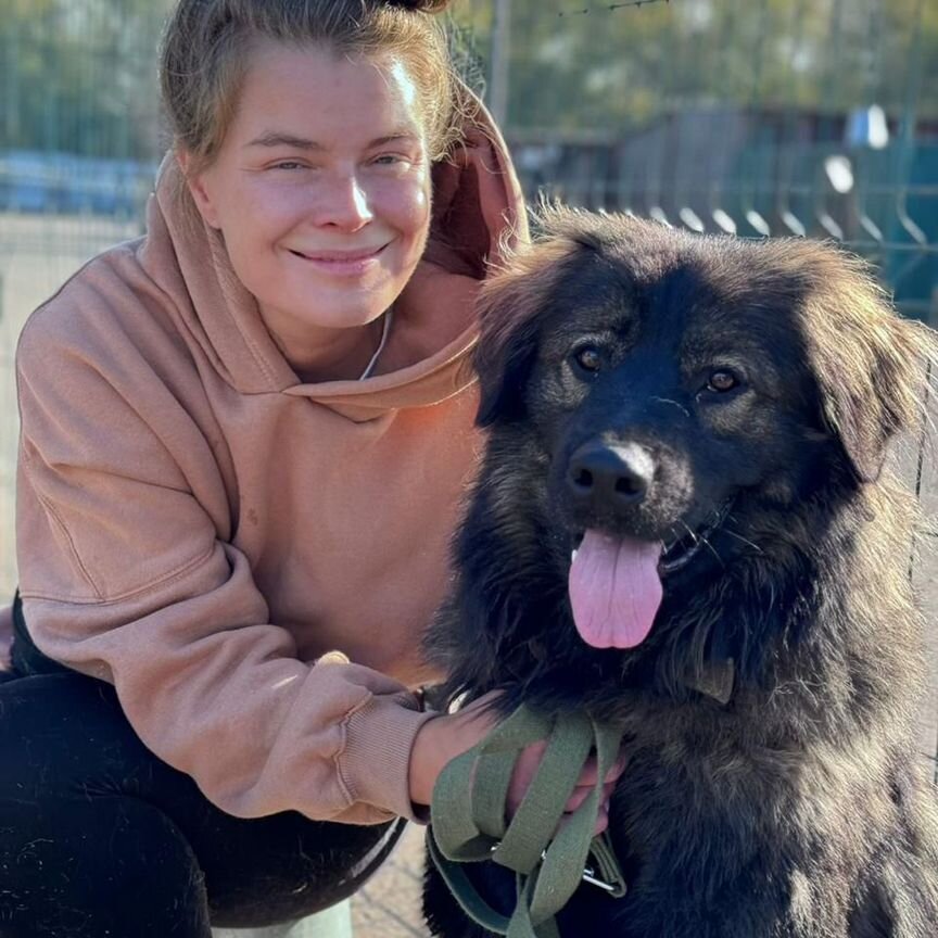 Добрый лохматый Пушок ждёт родителей в приюте