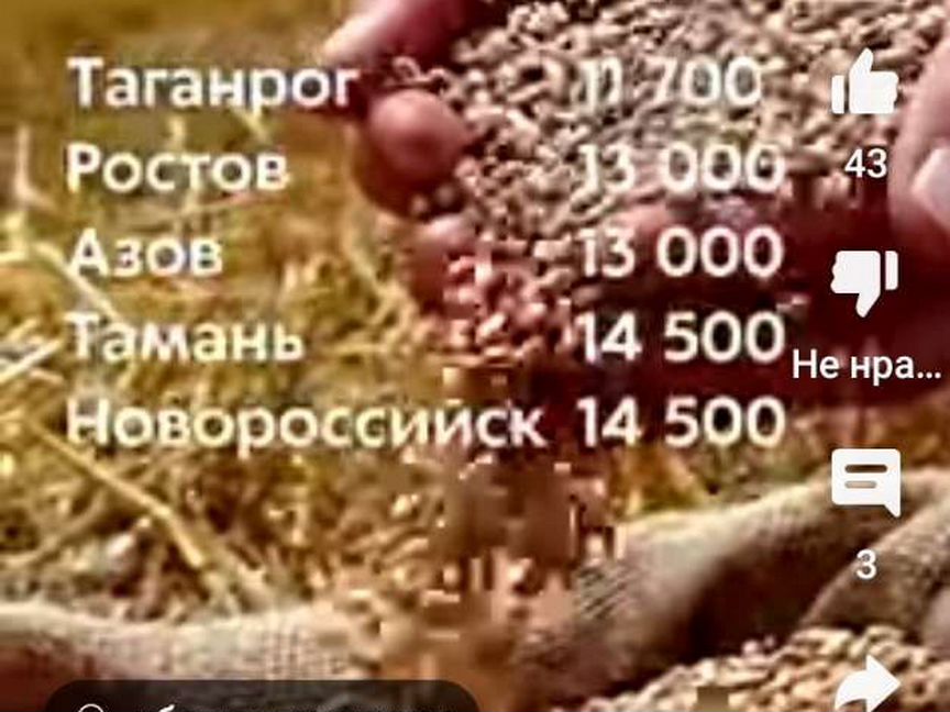 Пшеница 2,5 тонны, продаю.8000тонна