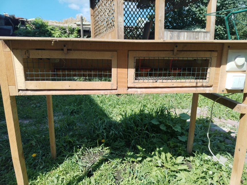 Брудер с регулировкой подсветки