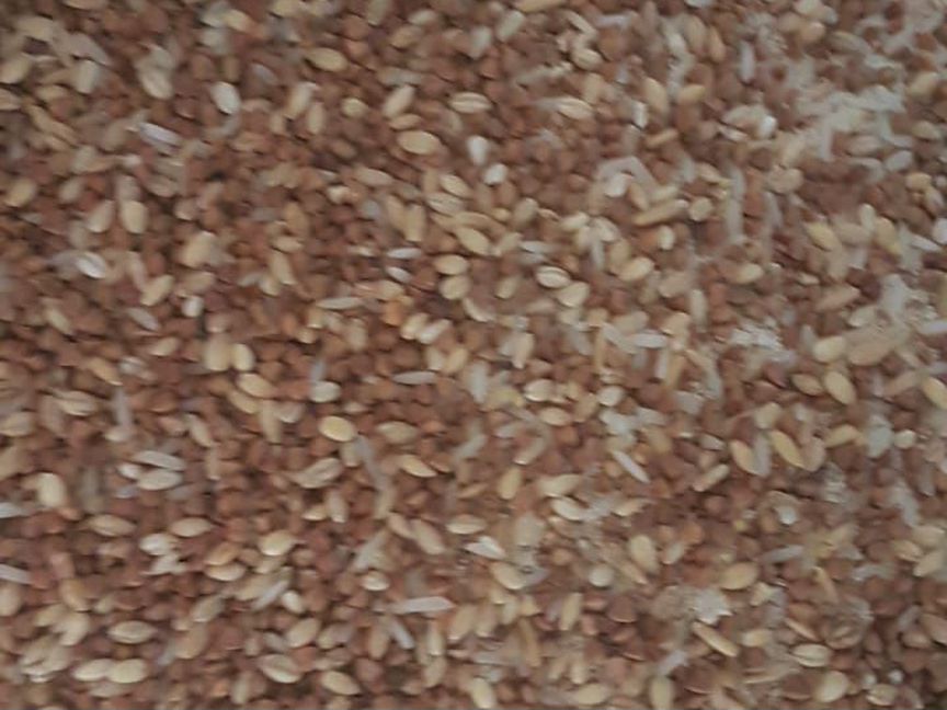 Зерноотходы. оптом