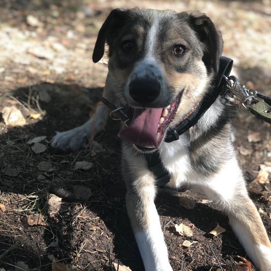 Очаровательная девочка в поисках семьи