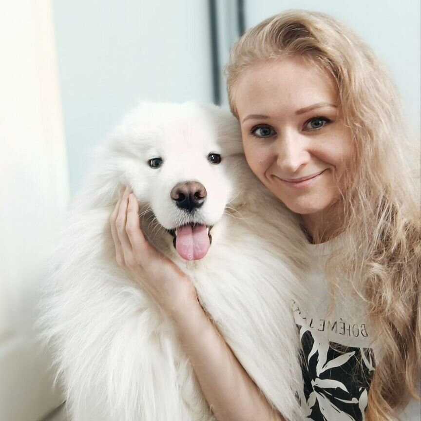 Случка собак