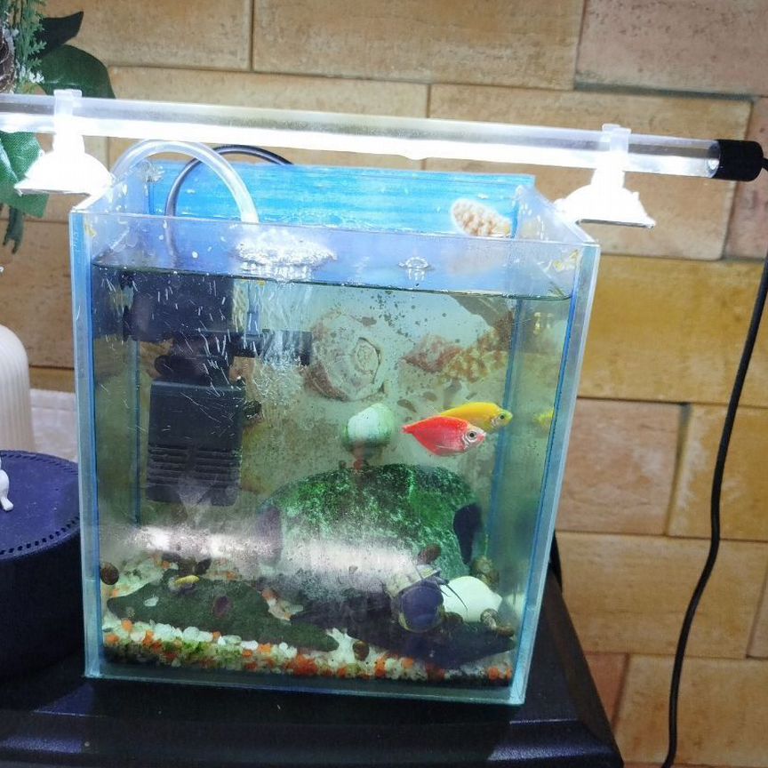 Аквариум с рыбками