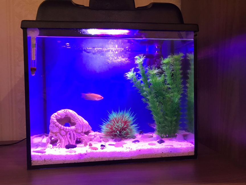 Аквариум 25 литров + комплектующие