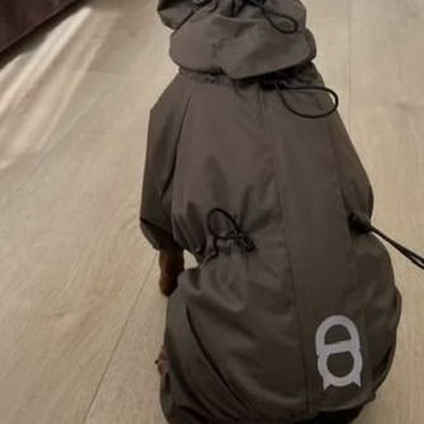 Одежда для собак