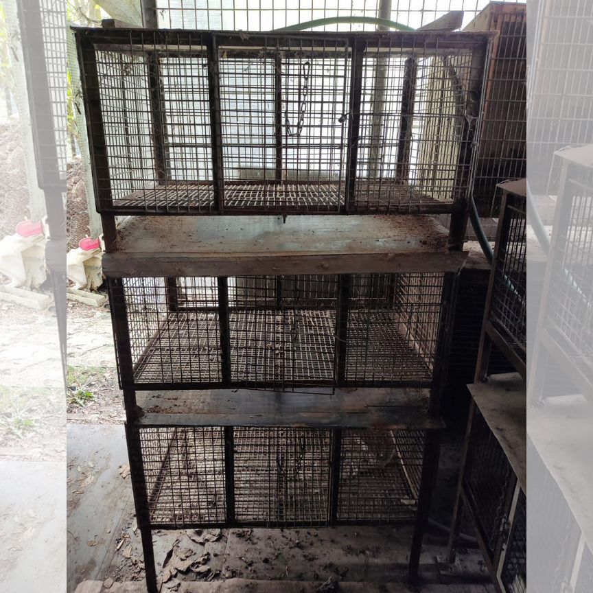 Клетки для нутрий и кроликов