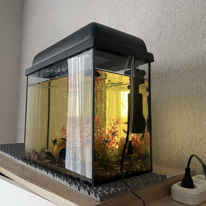 Аквариум с рыбками