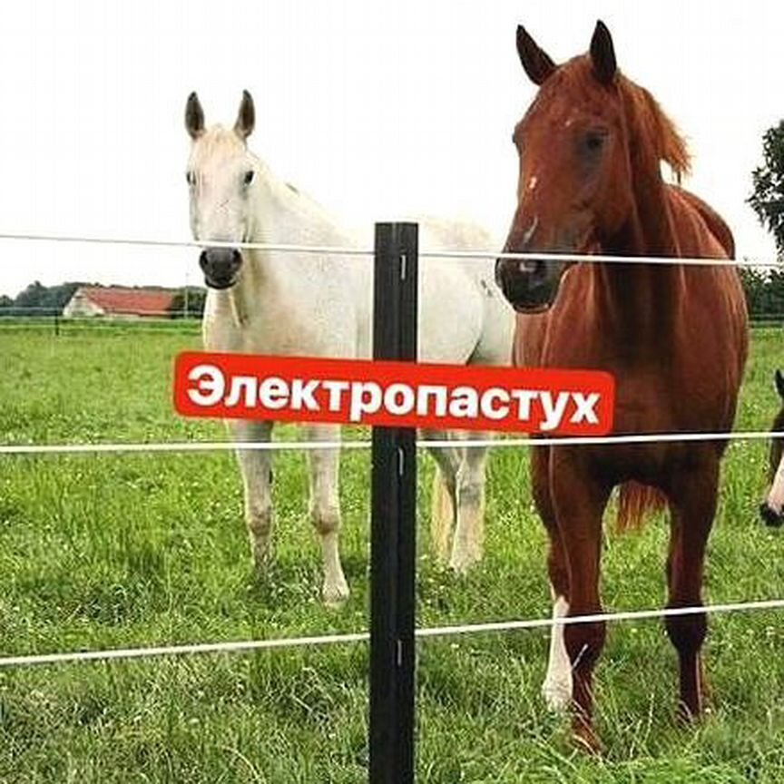 Электропастух для молочных крс и телят