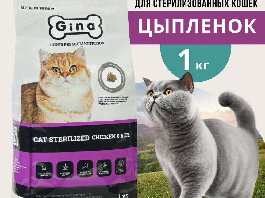 Корм для кошек сухой Gina курица рис