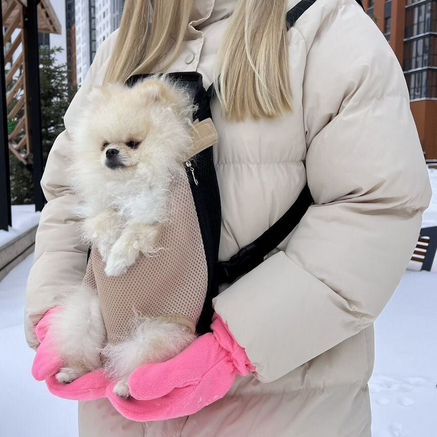 Рюкзак переноска для собак малых пород