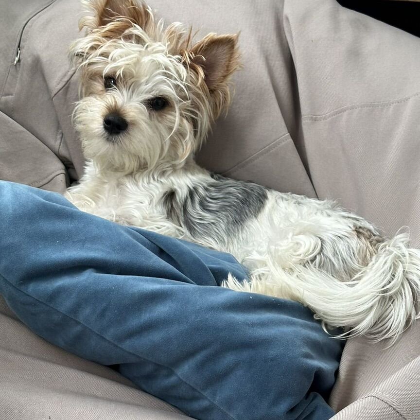 Ищем подругу