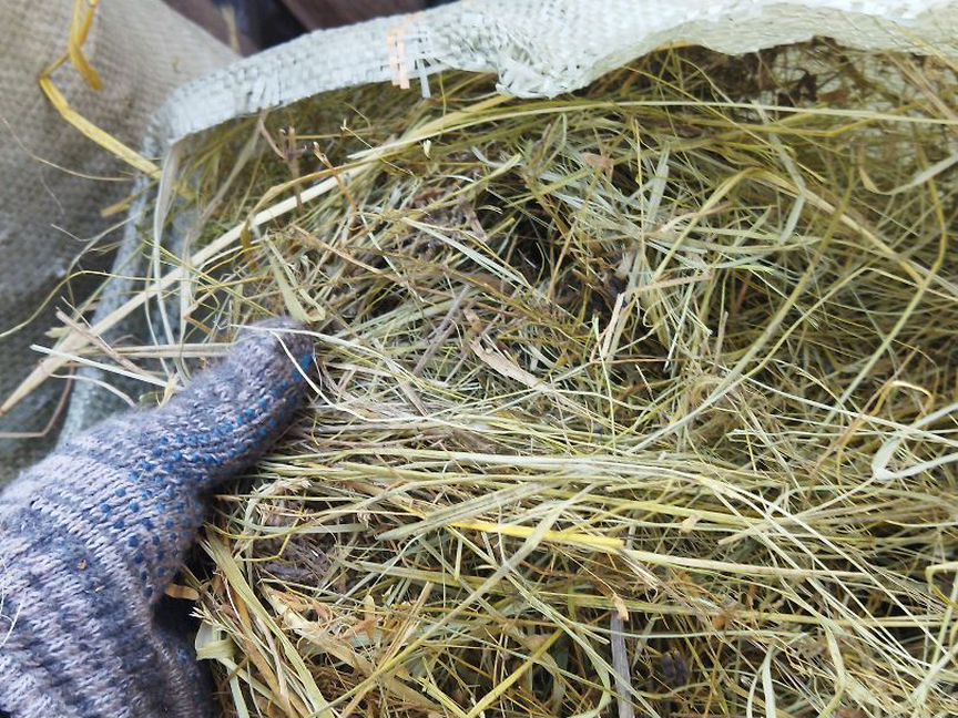 Сено солома в мешках с доставкой для собак