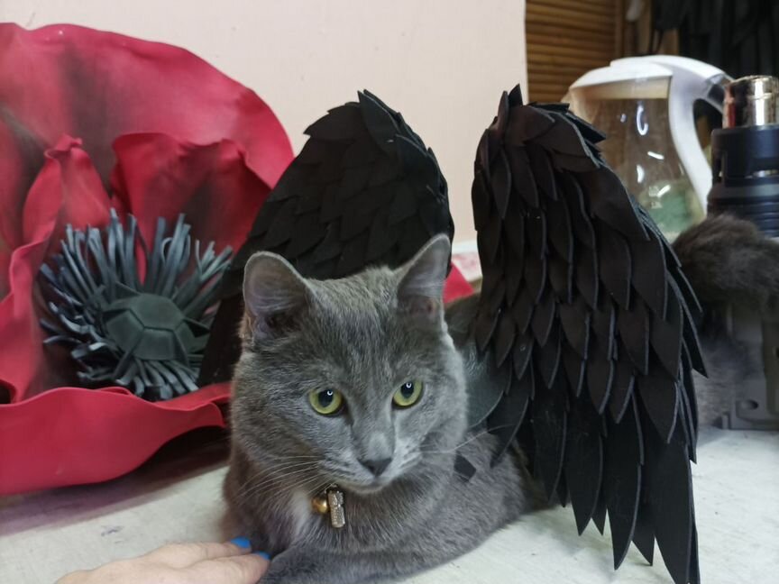 Крылья для кошек и собак, крылья для животных