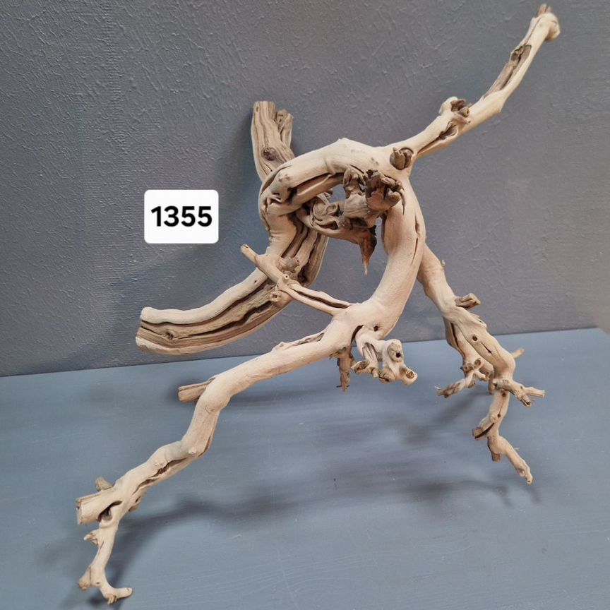 Коряга