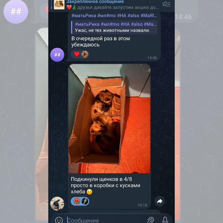 Щенок в добрые руки