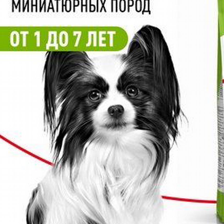 X-small adult PRO 11 кг