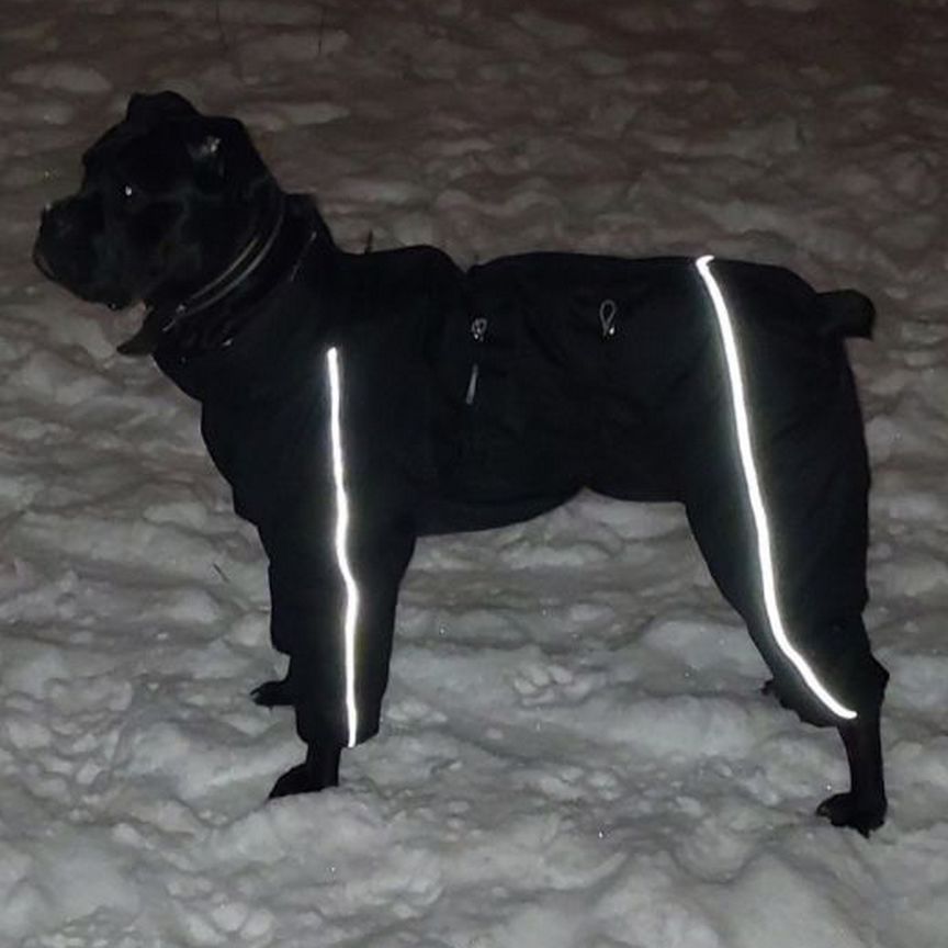 Зимний комбинезон для средних и крупных пород