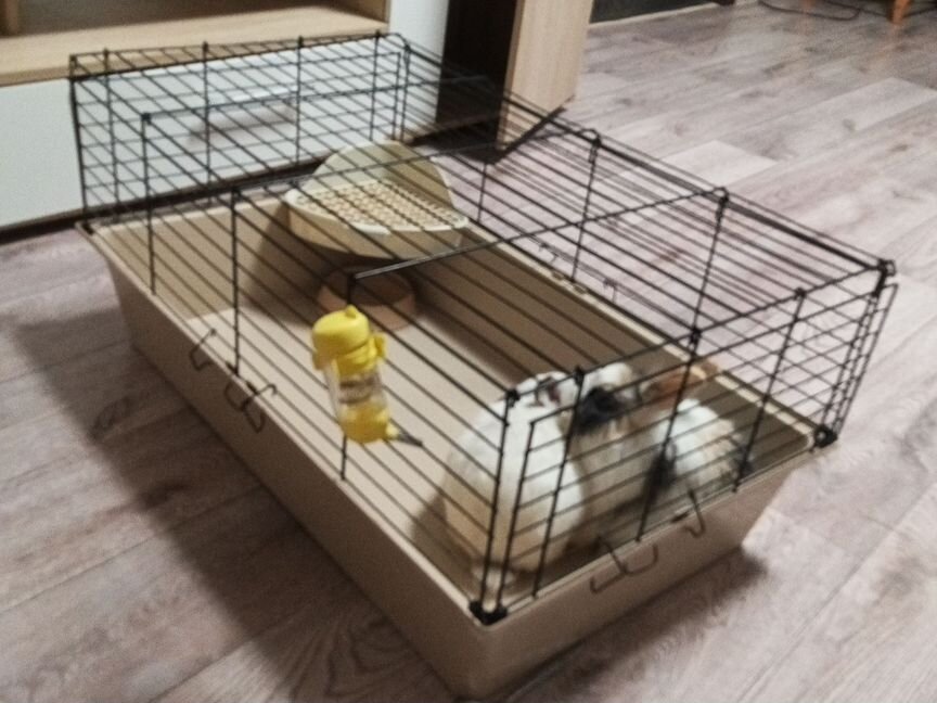 Клетка для декоративного кролика