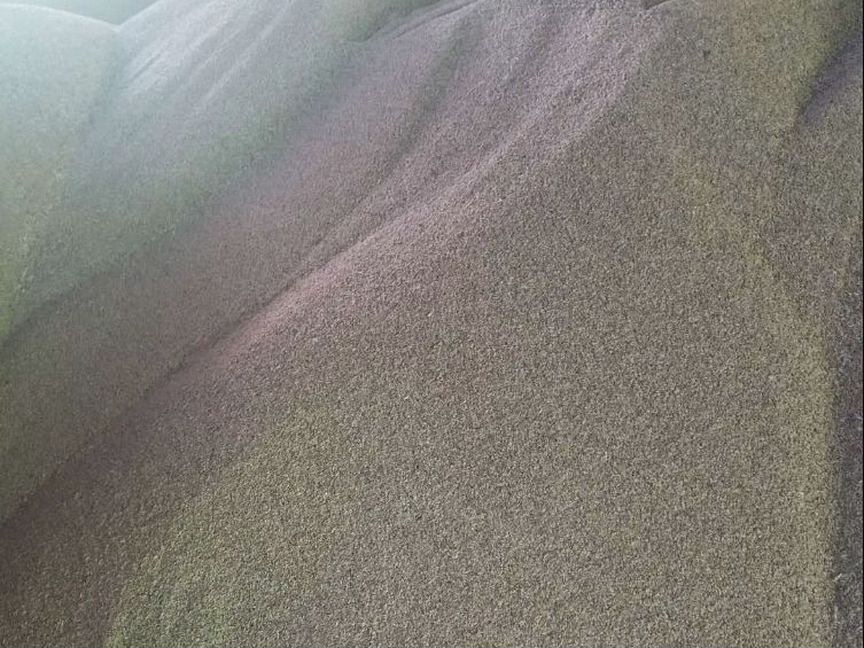 Семечко, Ячмень яровой корма