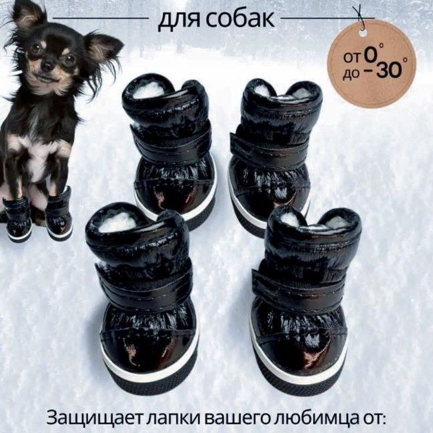 Обувь для собак мелких пород
